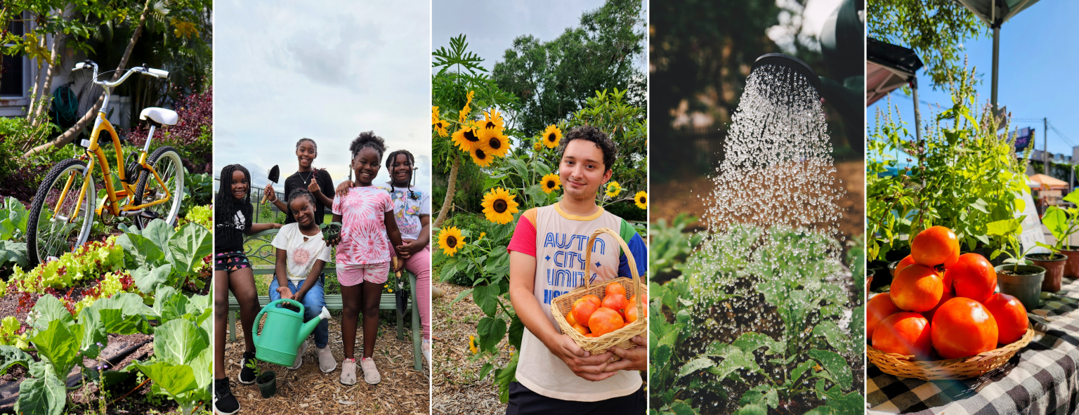 Nonprofit Urban Agriculture Program | Fleet Farming | Community Farming