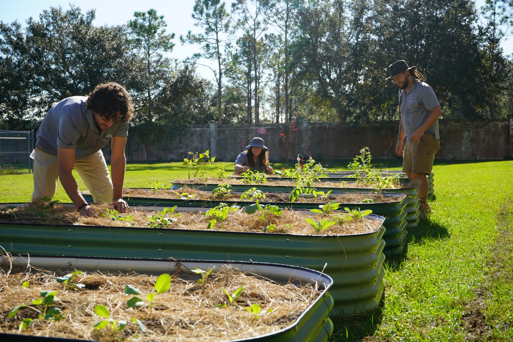 Edible Landscapes | Fleet Farming
